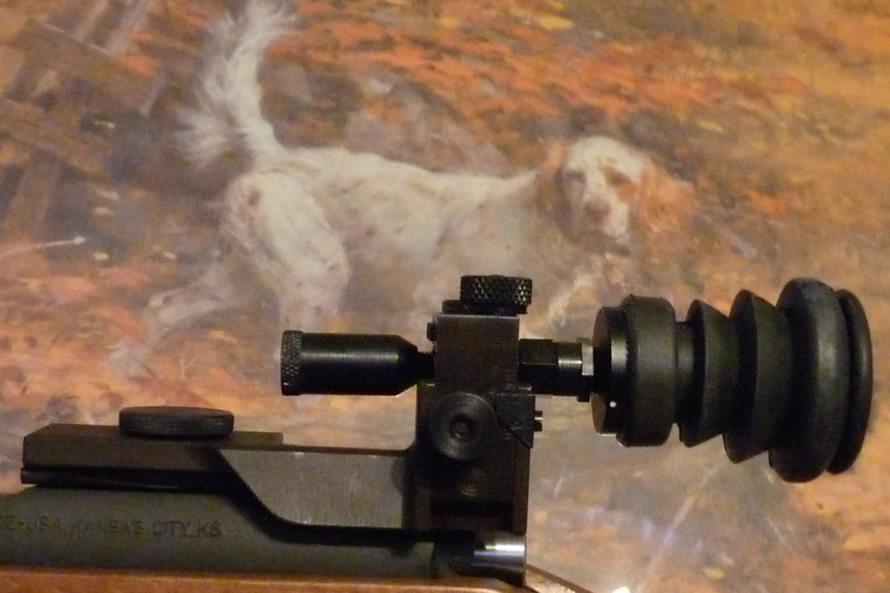 My aperture sight setup on the CZ 452 Ultra Lux – Time Outside